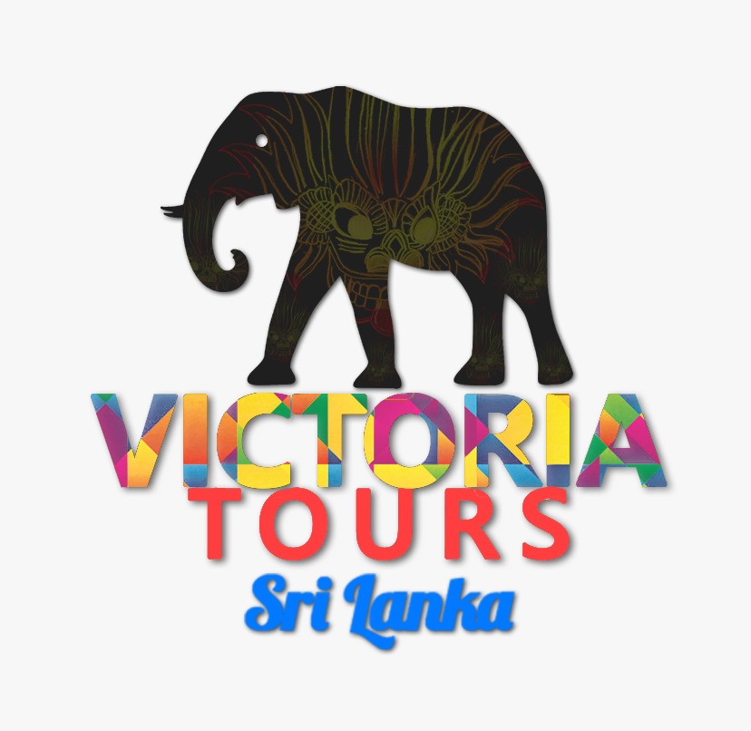 XTENTURE Technologies